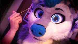 Chat With Snowball on furry.ai